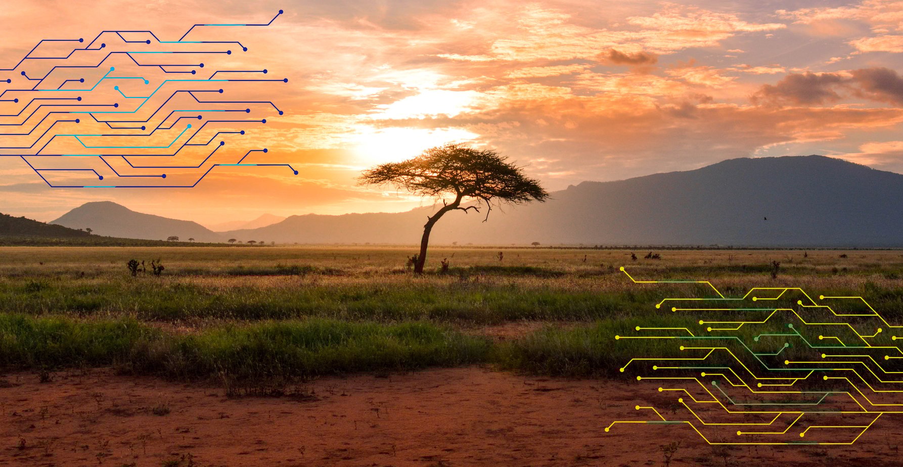 Innovative inventions that are saving our planet!